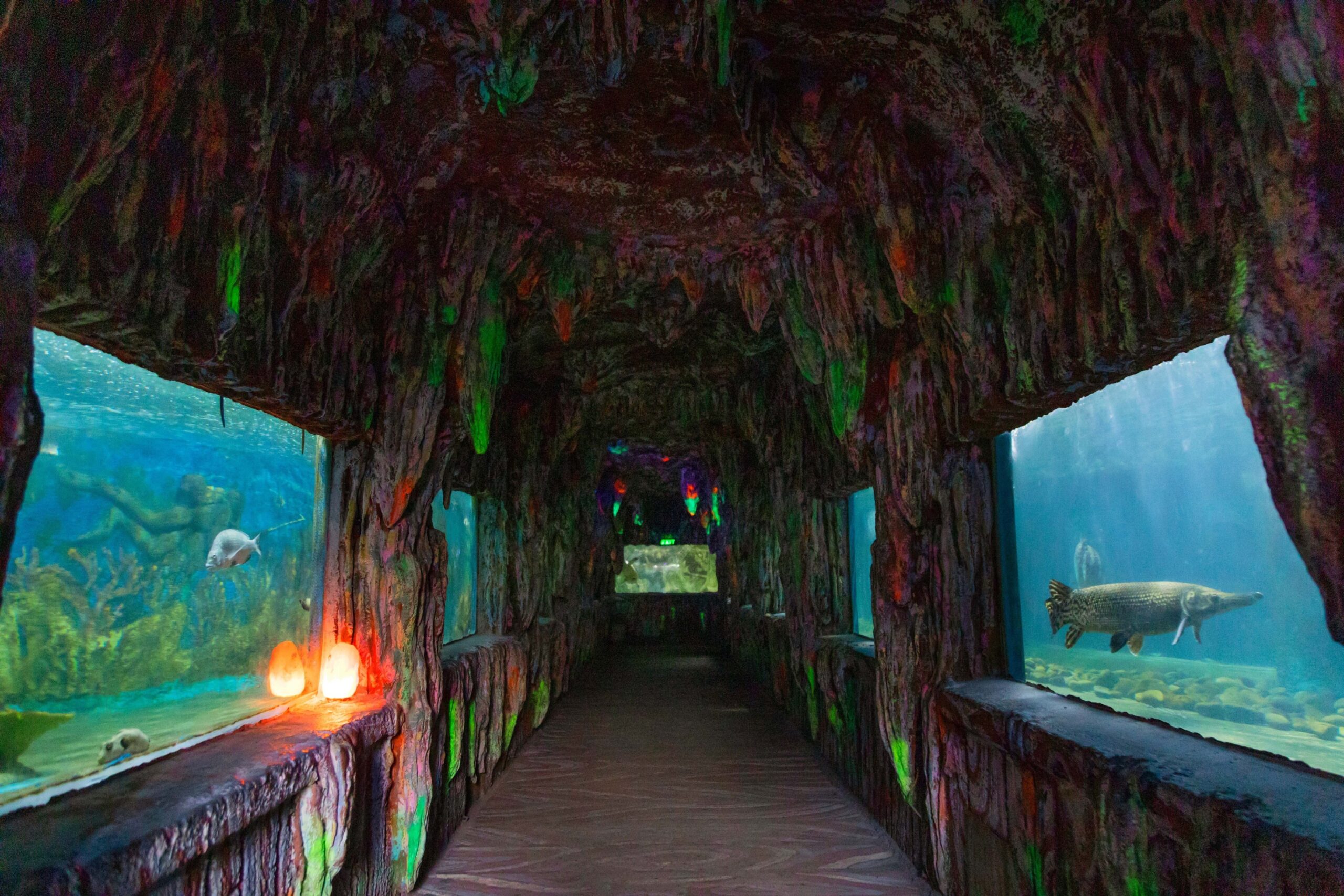 Thủy Cung Trí Nguyên | CÔNG TY TNHH DU LỊCH TRÍ NGUYÊN - NHA TRANG